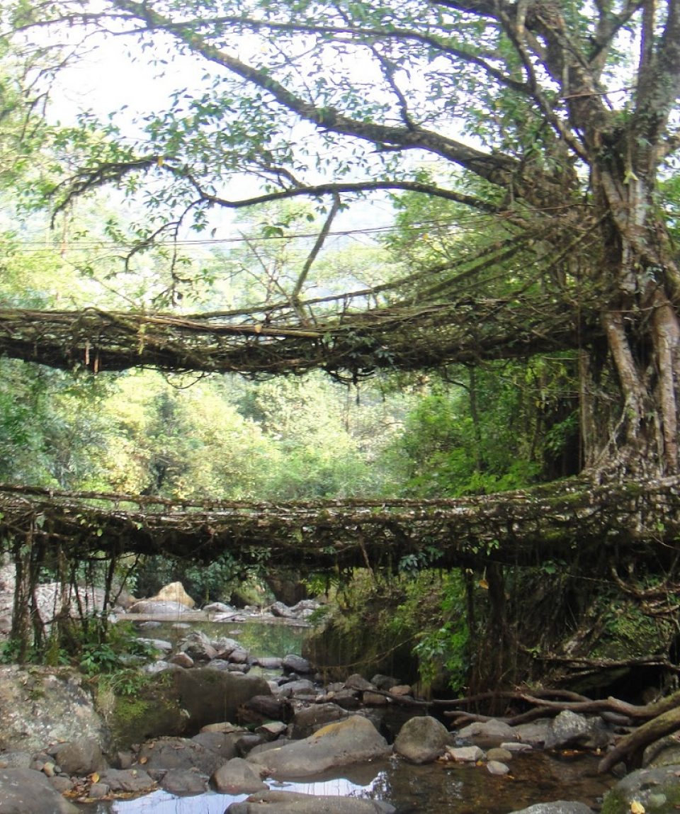 Awesome Assam – Advik Travels